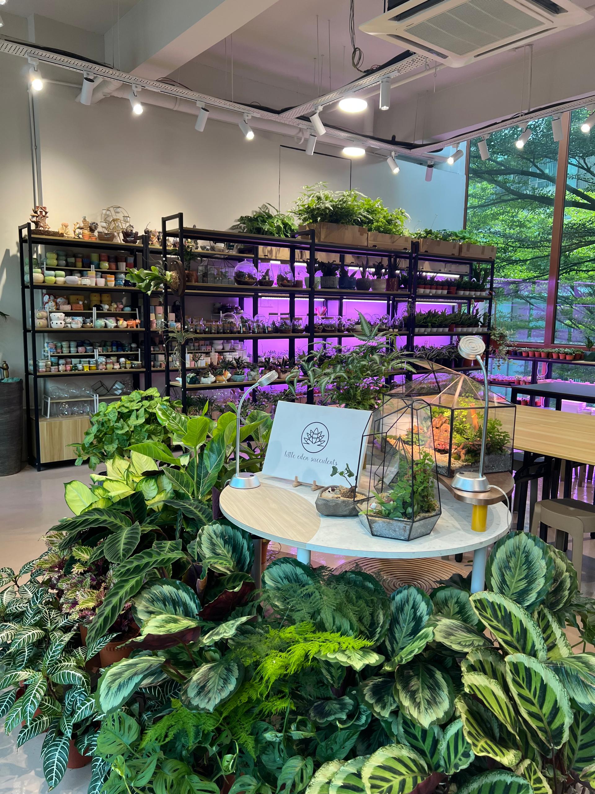 Plant Cafe & Creative Workshop Studio in PJ | Little Eden Succulents
