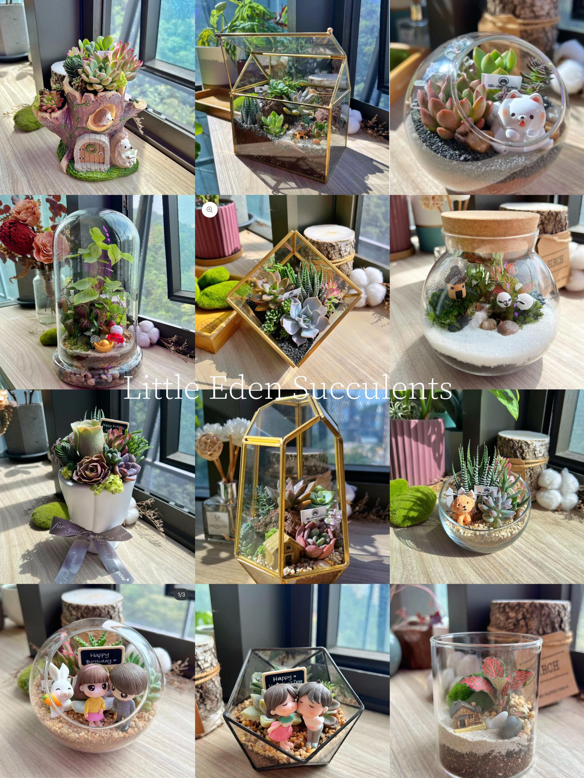 Unveiling the Charm of Terrarium Door Gifts: A Green Keepsake for Ever