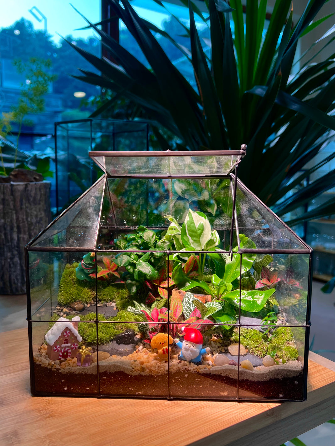 Pre-order Terrariums Malaysia