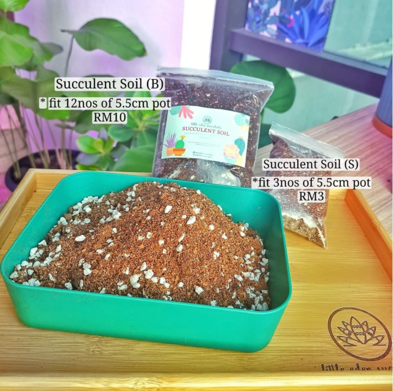 Top 20 Fun Team Building Activities in KL & Selangor