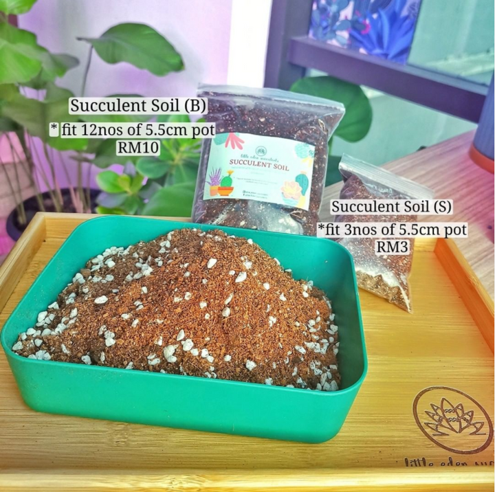 Top 20 Fun Team Building Activities in KL & Selangor